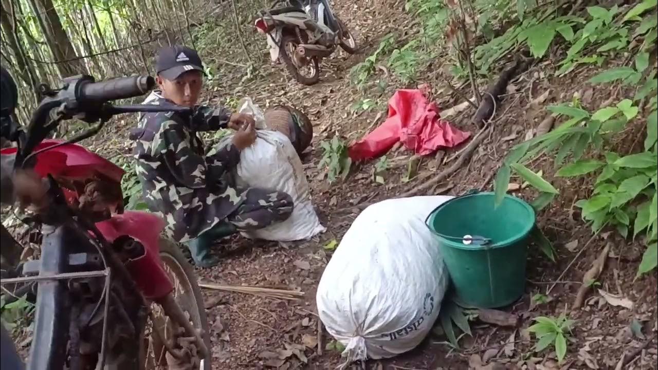 hnub no peb cov niam tub tuaj nqe kua txob muag yuav nyiaj nawb - YouTube