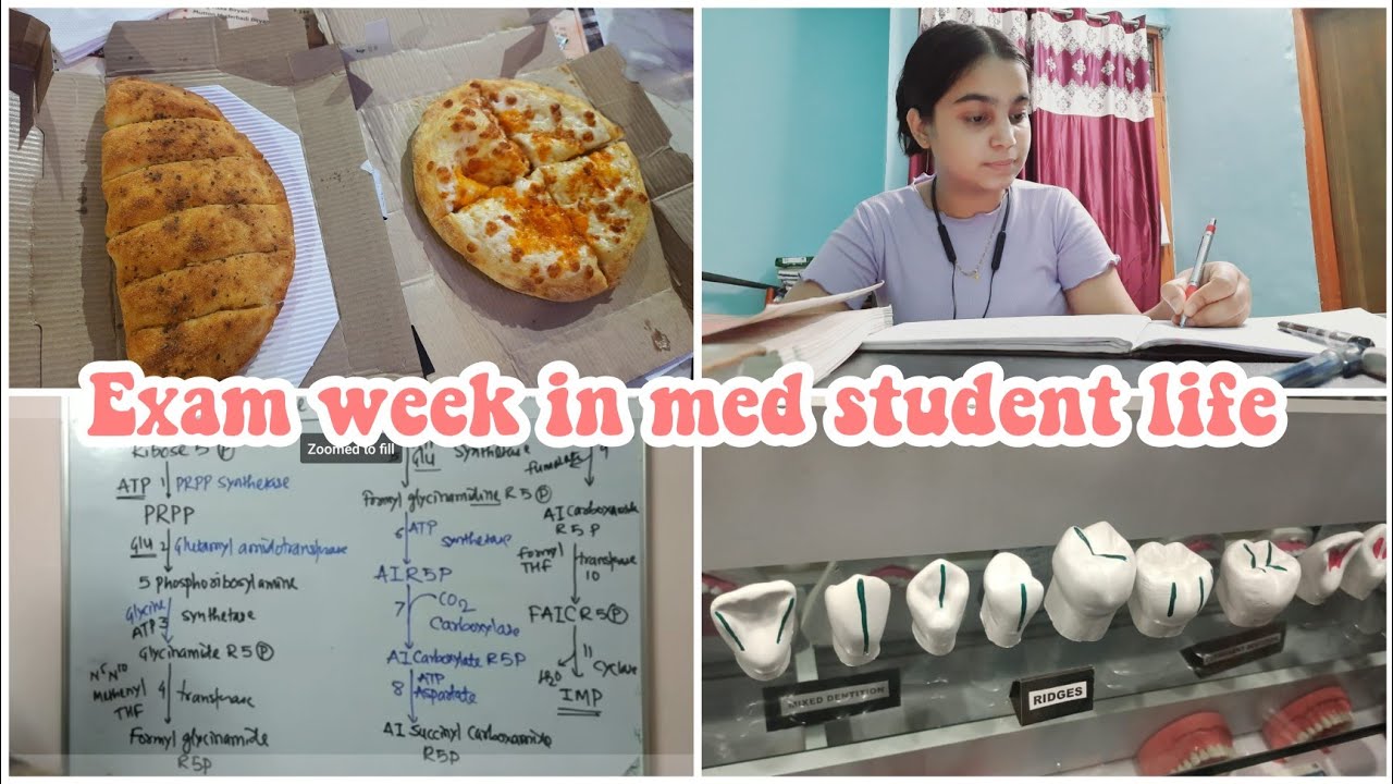 Exam week in med student life * study ,eat and repeat * - YouTube