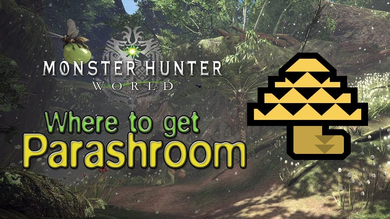 Game Tutorial #7 Monster Hunter World | Where to get Parashroom (Ancient Forest) - YouTube
