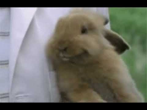 #keşfetbeniöneçıkart okulda kankamı görünce ben,