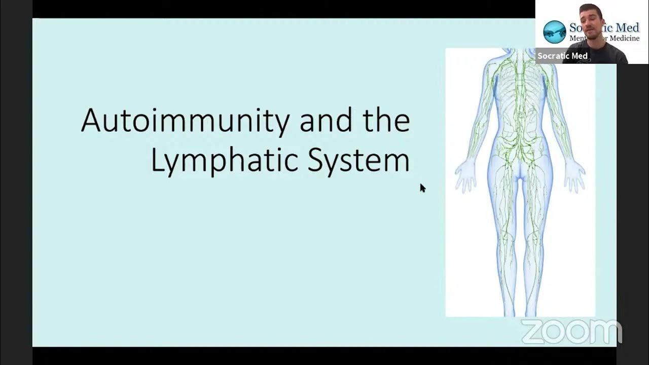 MCAT Biology The Immune System - Topic 4/4: Autoimmunity and the ...