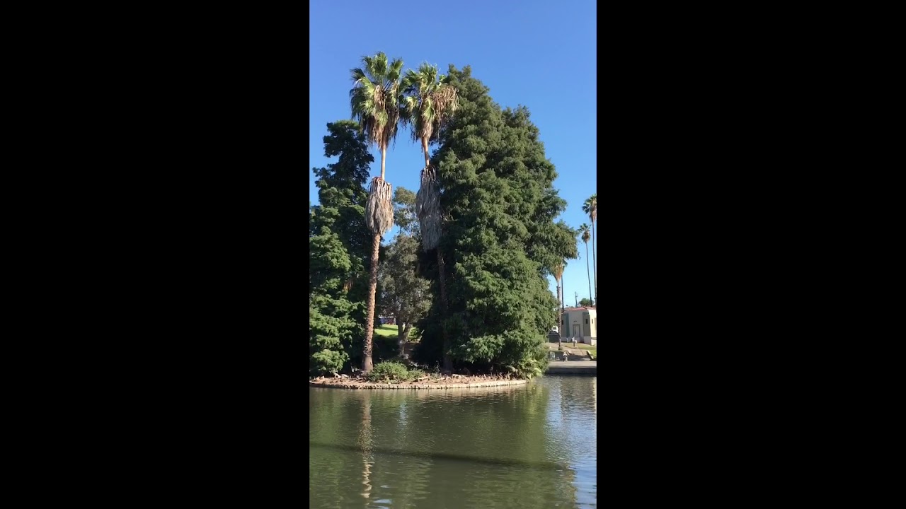 Hollenbeck Park. Los Angeles, CA. October 10, 2018 - YouTube