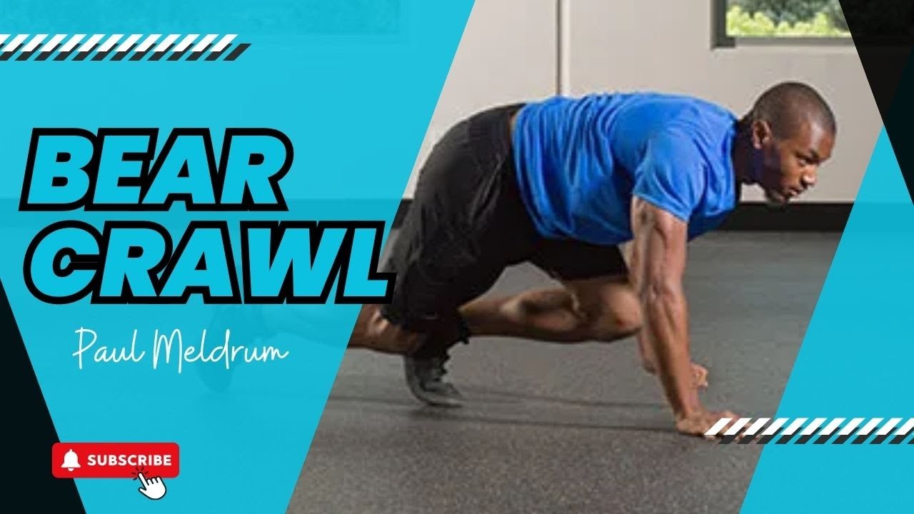Bear Crawl Youtube: Bear Crawl Avant Arrière – QTIRHX