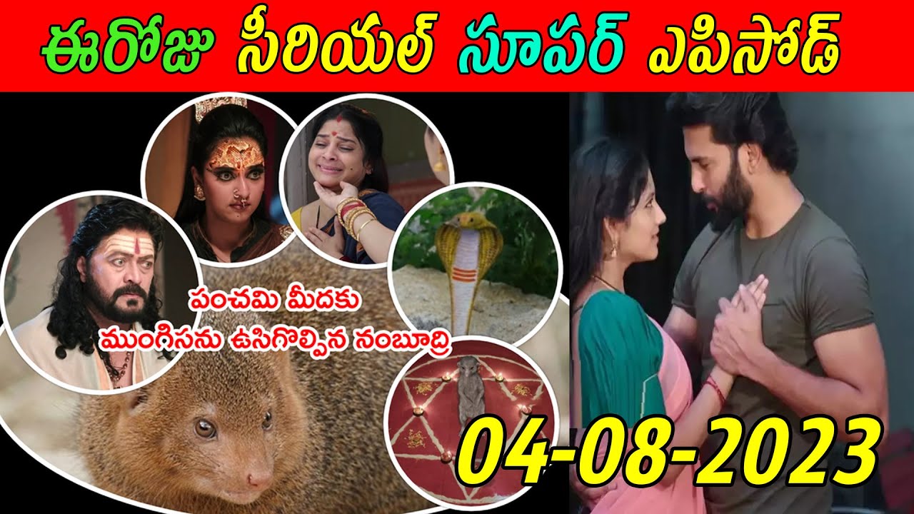 Naga Panchami Serial 4th August 2023 Episode Full Video | Siva Talkies ...