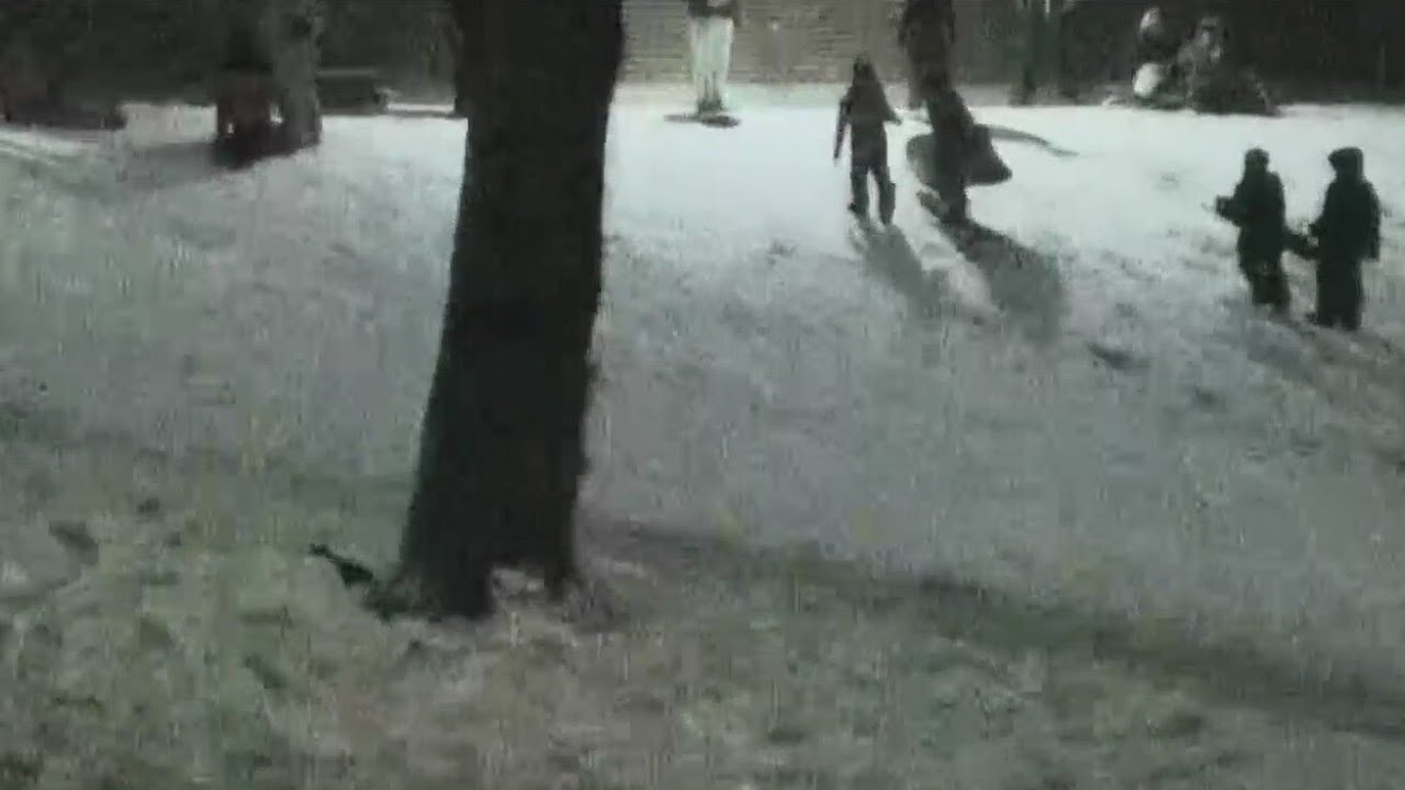 Kids take to sledding hill in west Chicago suburbs as snow falls - YouTube