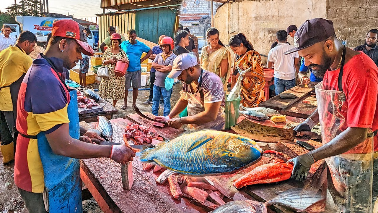 WoW Amazing Biggest Street Huge Fish Cutting Fish Market EXPERT CUTTING ...