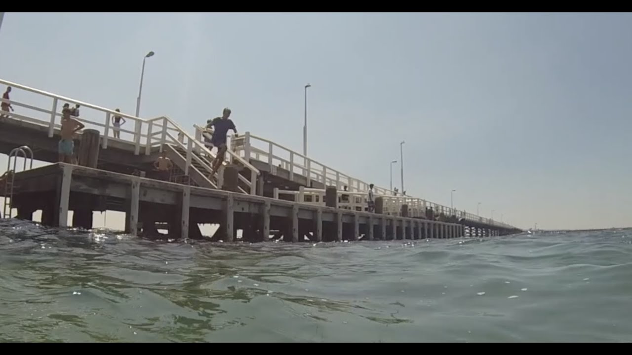 SNORKELING BUSSELTON JETTY | Seeing Fishes | Sting Ray - YouTube