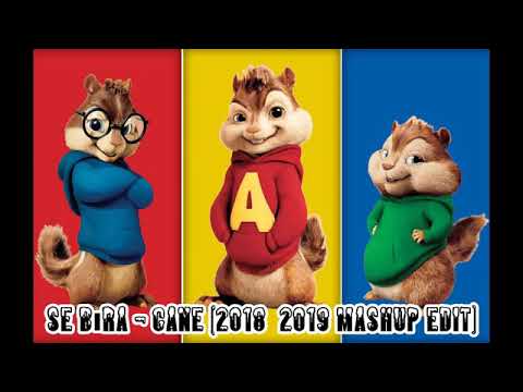 Sebıra-cane /2018 2019 mashup edit/