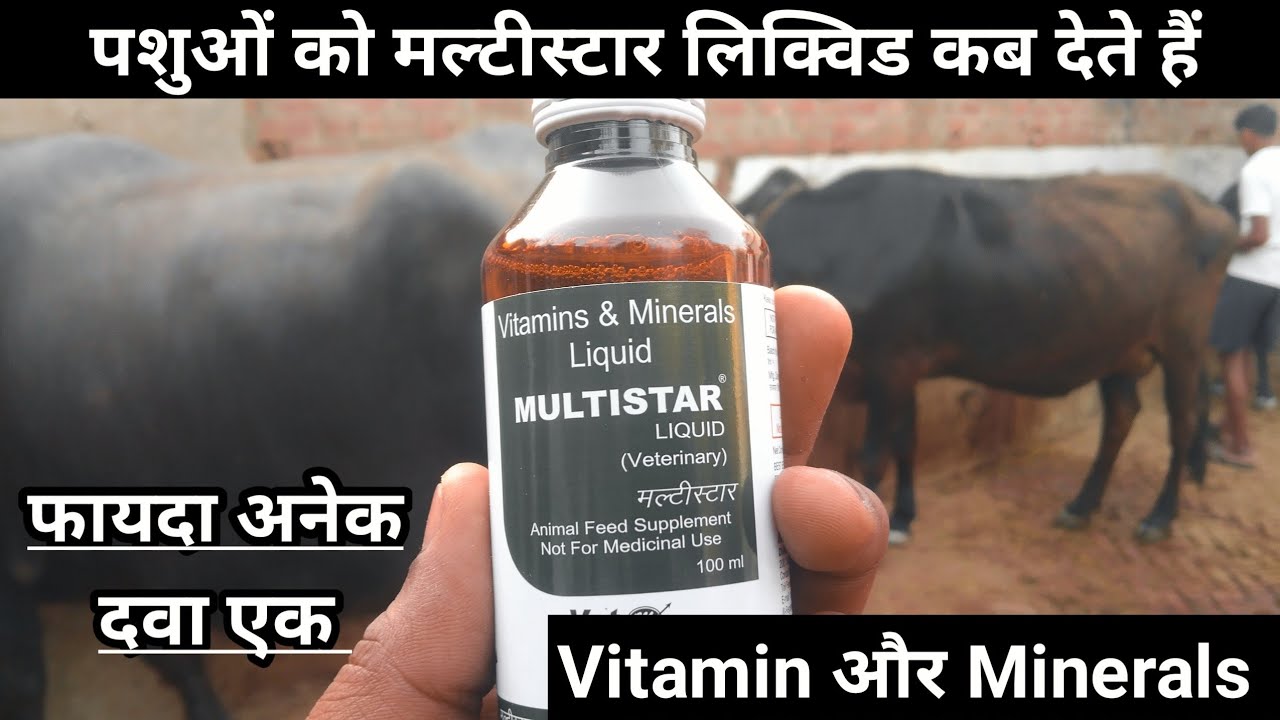 Veterinary Multistar liquid || vitamins and Minerals liquid use Animal ...
