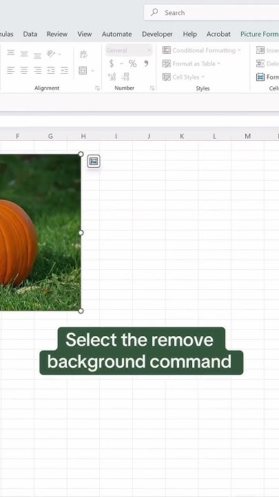 TRICK 288: HOW TO REMOVE BACKGROUND FROM AN IMAGE #excel #exceltips #exceltricks #spreadsheets 🤯 ...