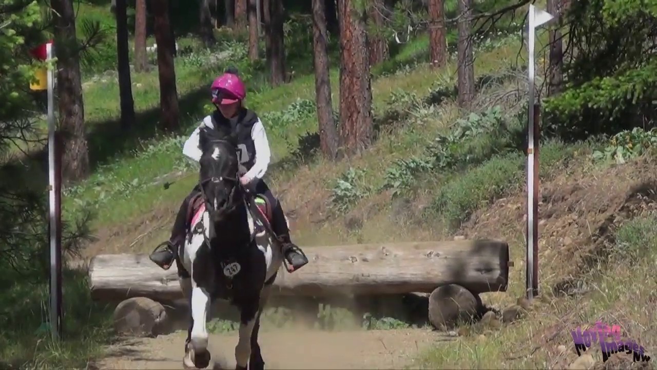 Aida Reed; Equestrian Institute Horse Trials; Spring 2019 - YouTube