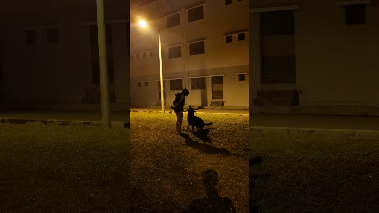 Cato Night trainnign - YouTube