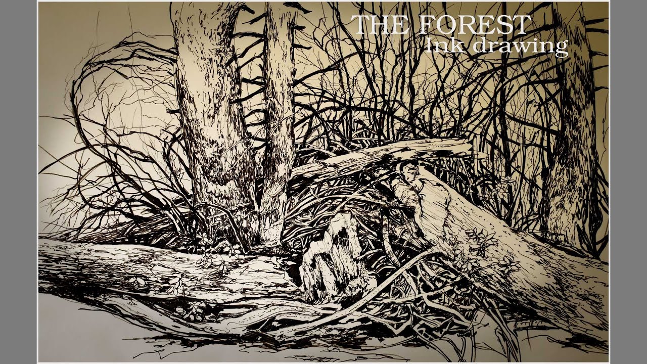 Dead Forest Drawing Dead Forest Battle Map [25x45] : R/dndmaps