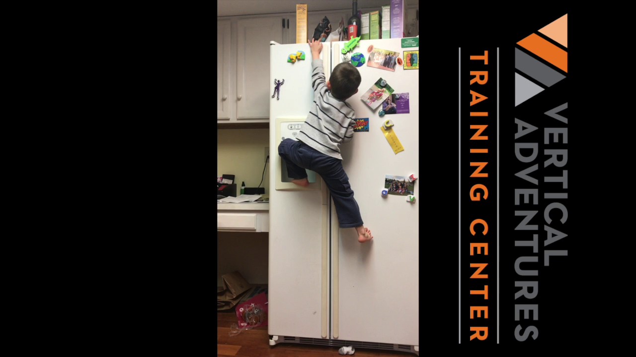 Charlie Climbing Refrigerator - YouTube