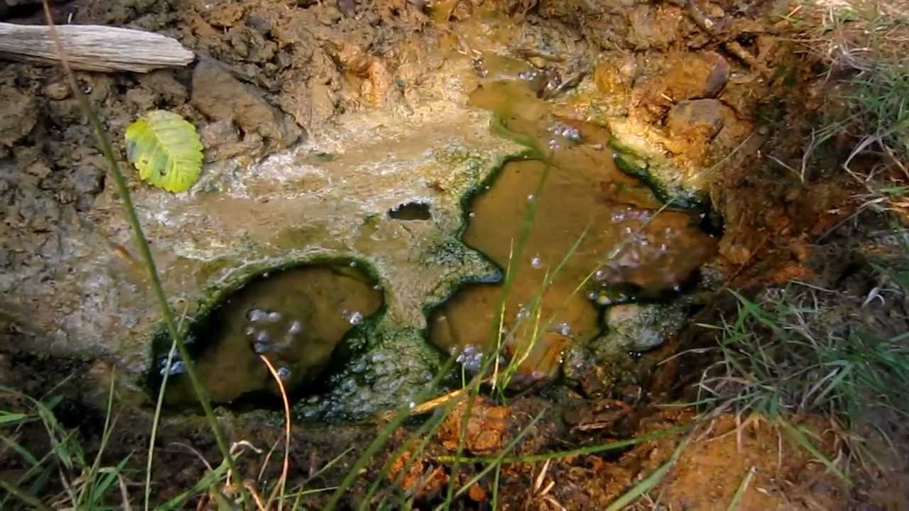 Hot springs gurgling water @Mt. Rainier Longmire trail - YouTube