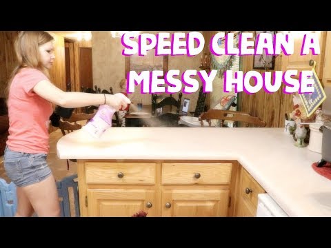 SPEED CLEAN WITH ME || MY KITCHEN AND LIVING ROOM