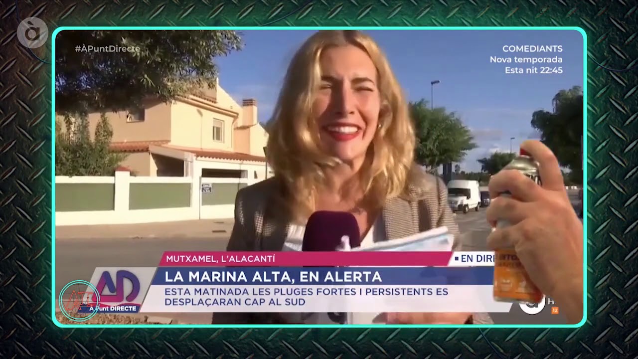 Àlex Blanquer en À Punt directe: 'Collons' - Assumptes Interns - YouTube