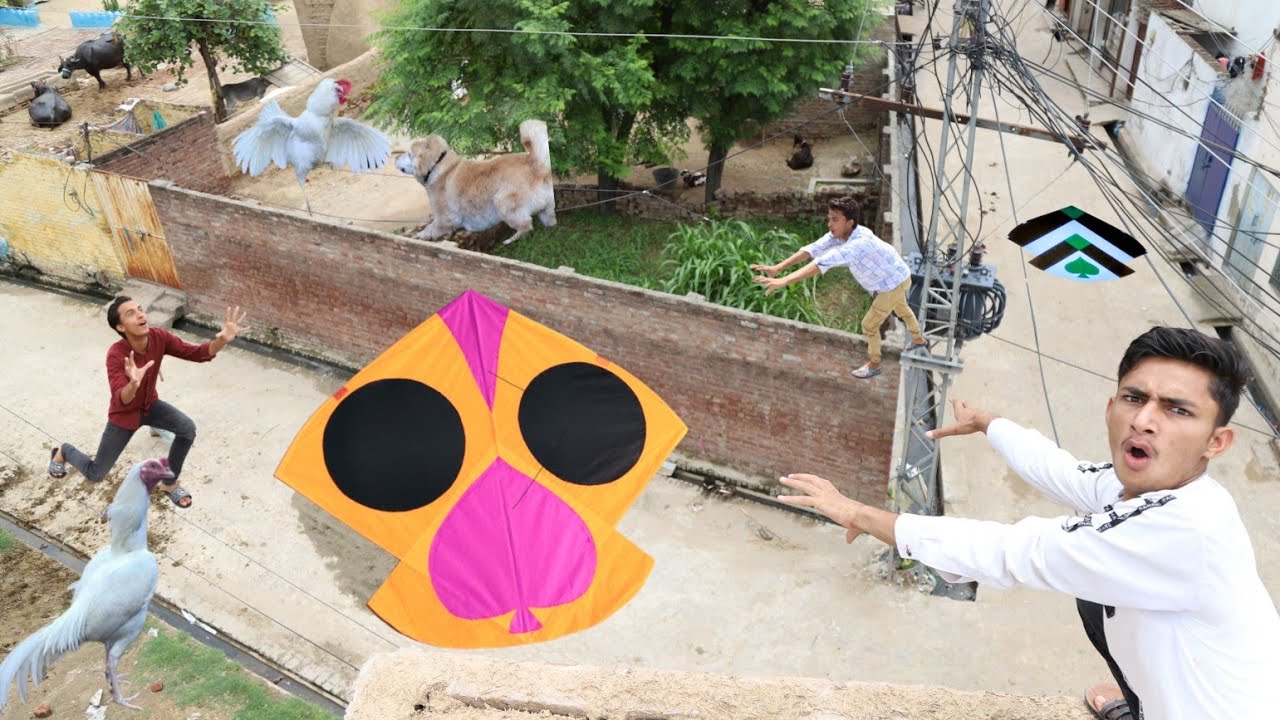 White Beautiful Nasir Hens Vs Kite Fight Challenge - YouTube