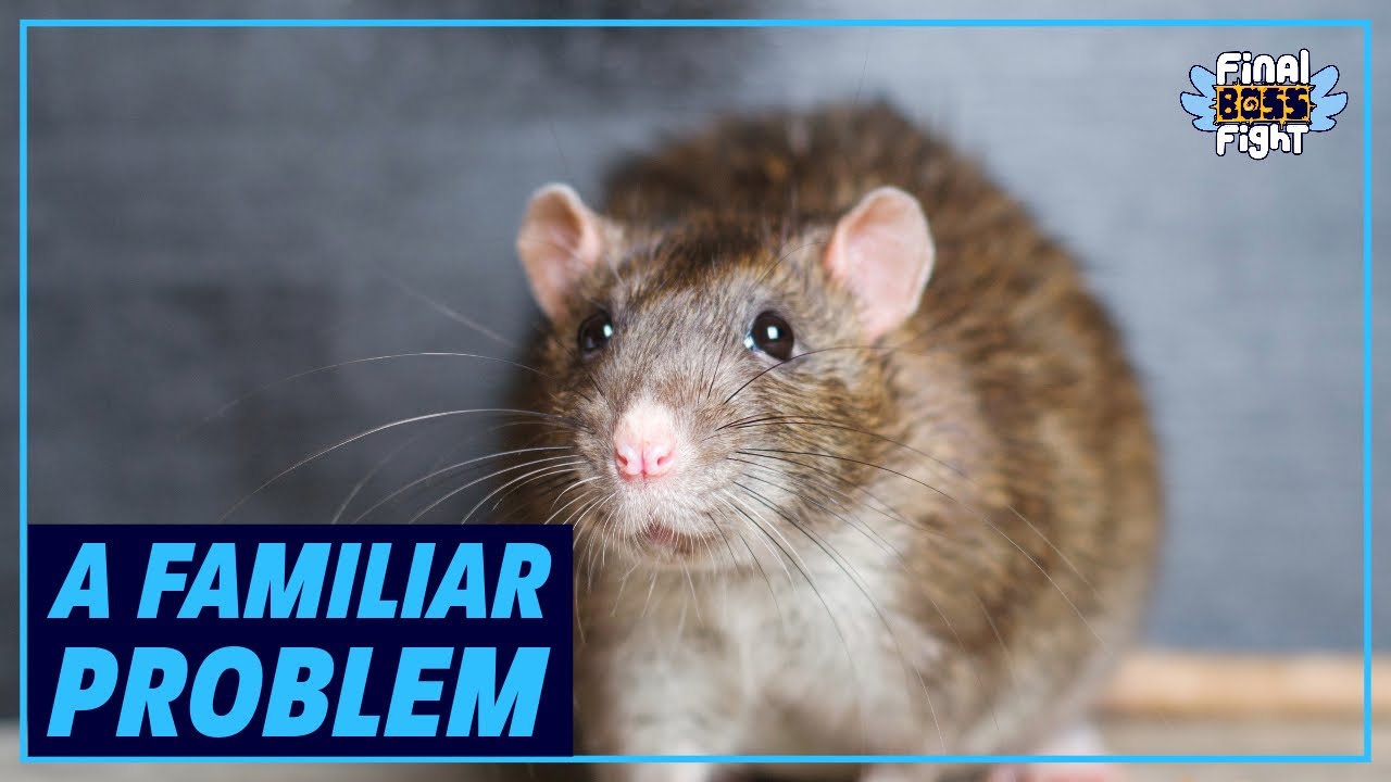 A Familiar Problem - Birthday Silly Times - Final Boss Fight Live - YouTube