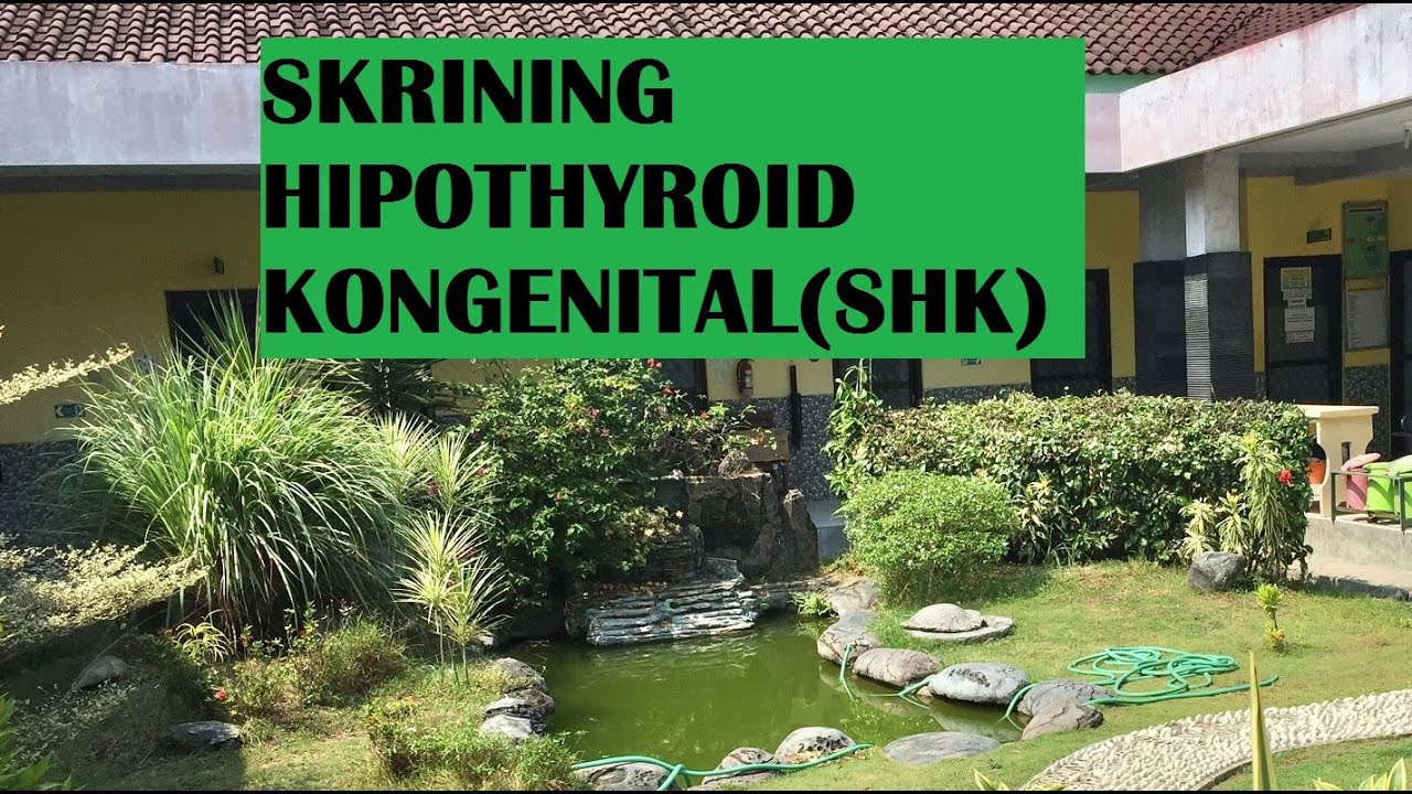 Skrining Hipothyroid Kongenital (SHK) - YouTube