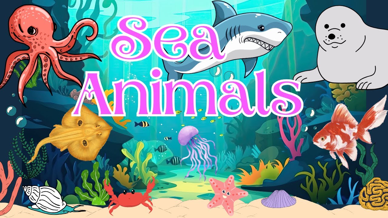 Water Animals |Animal facts for Nursery to Grade 2 kids |Aquatic ...