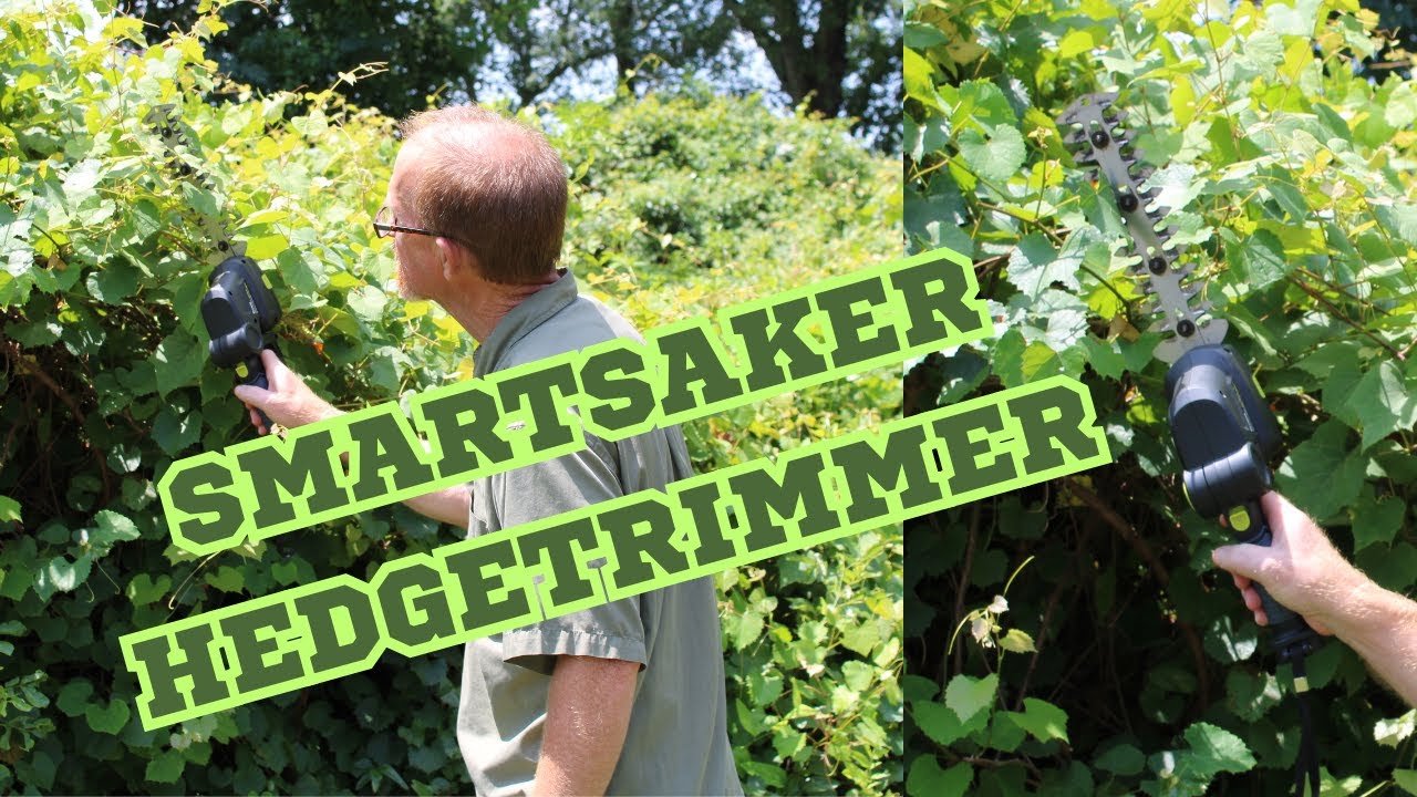 Saker Hedge Trimmer Used to Provide Rabbit Feed and Mulch - YouTube