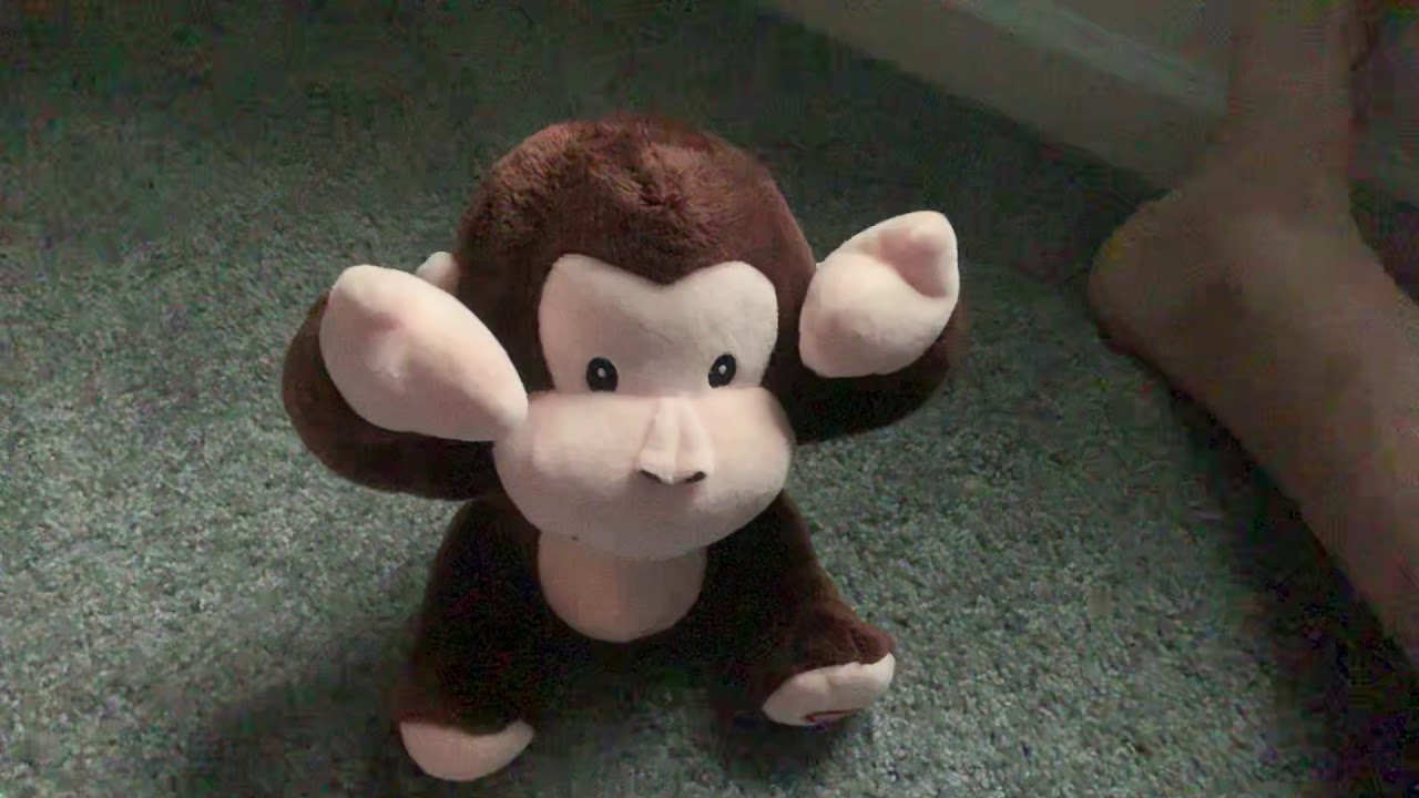 SLO-MO Peek-A-Boo Monkey (Absolutely Terrifying!) - YouTube