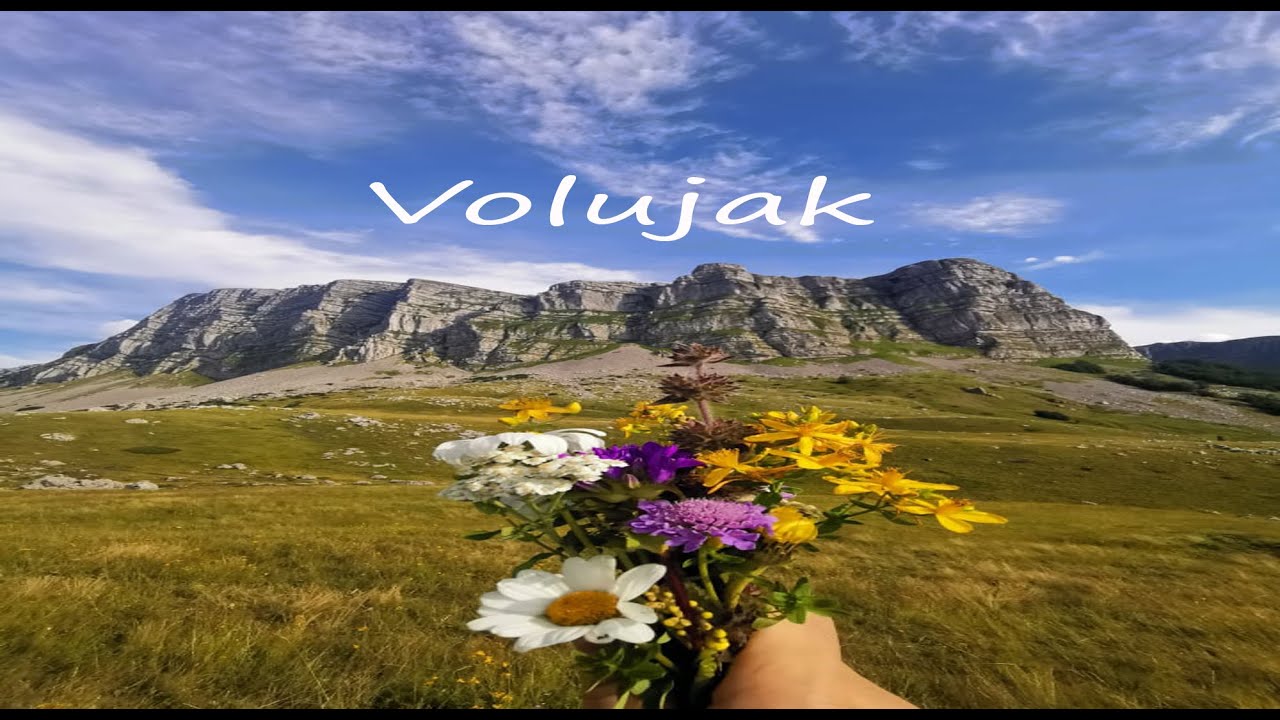 Volujak (Bosnia and Herzegovina, Montenegro) 4K VIDEO Vlog#003 - YouTube