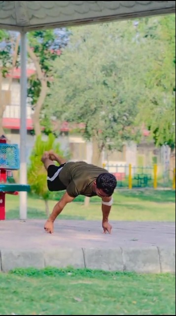 two finger planche press for Maltese for challenge for all athletes ...