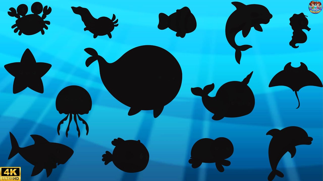 🦈🐠 Can You Guess the Sea Animal Shadows? | Fun Quiz Game for Kids! 🐢🐬 ...