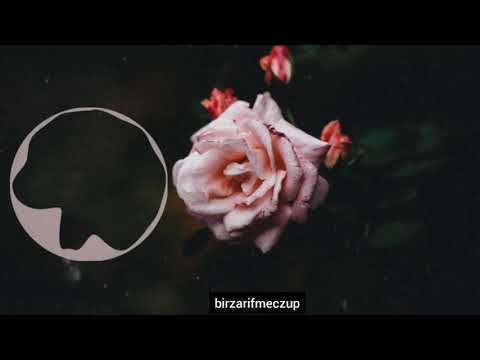 Arapça Neşid Dinle (En Çok Aranan Nasheed) ||Tevhidi Neşidler