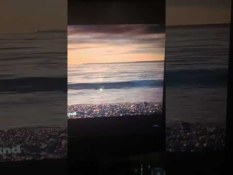 adam gibi sevin be kardeşim