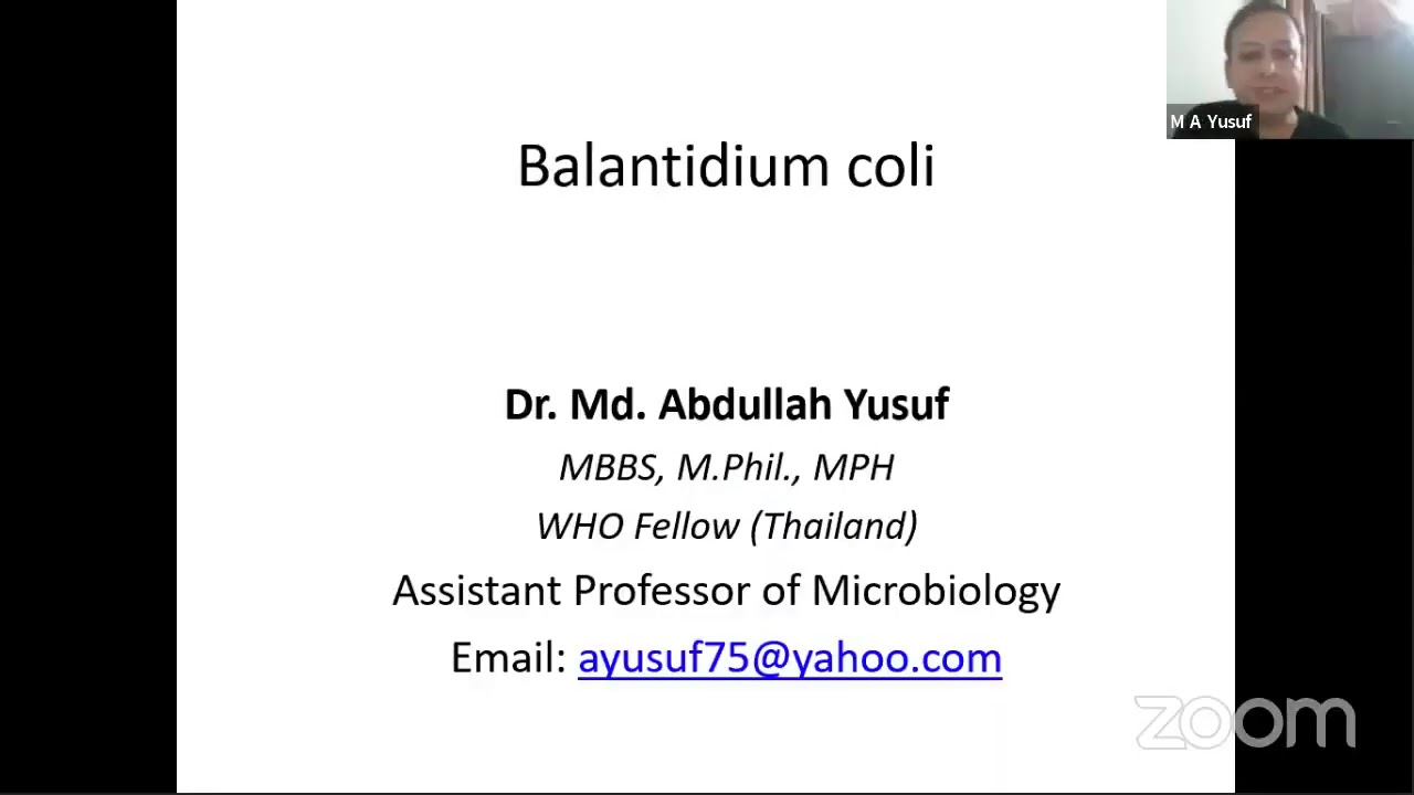 Parasitology Balantidium Coli Youtube