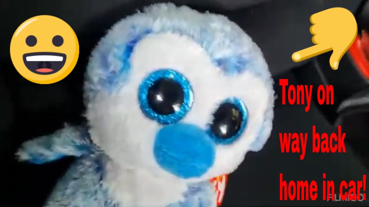 Shopping For Tony Beanie Boo Join Tony On My Way Back Home! - YouTube