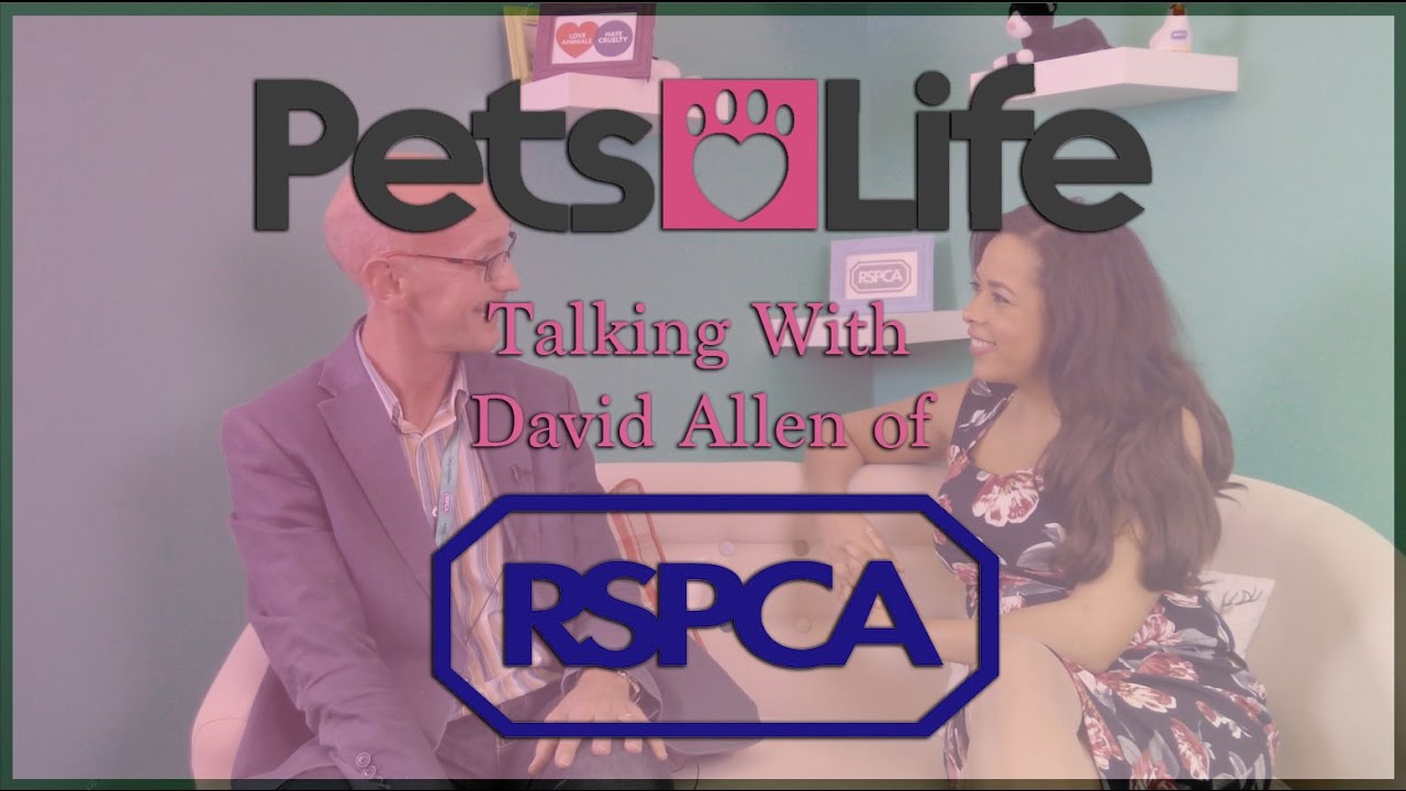 Talking with David Allen from RSPCA - YouTube