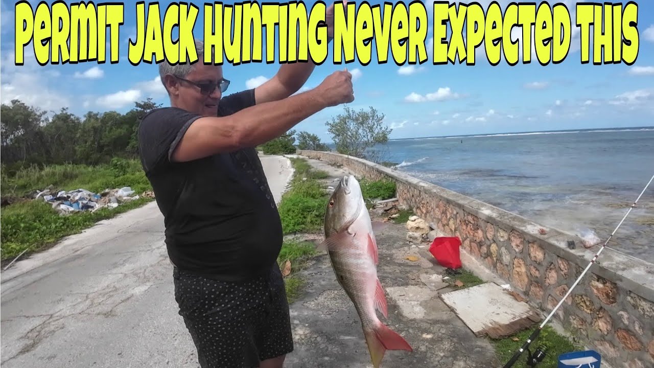 Permit Jack hunting Never Expected This To Happen - YouTube