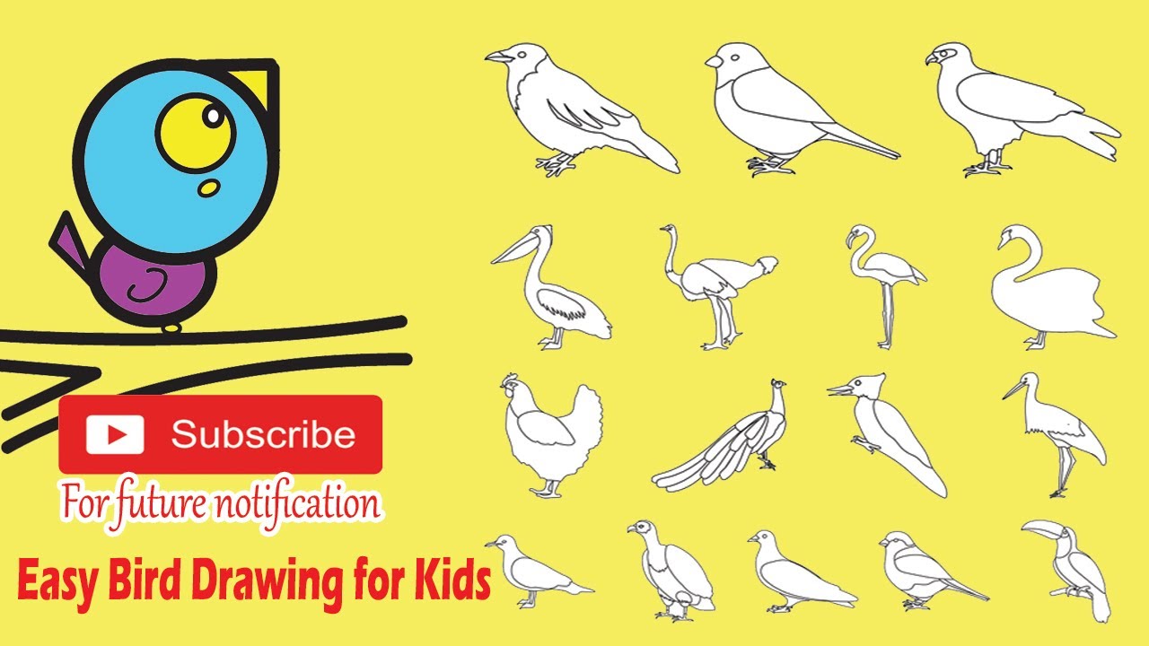 Draw different birds for kids - YouTube