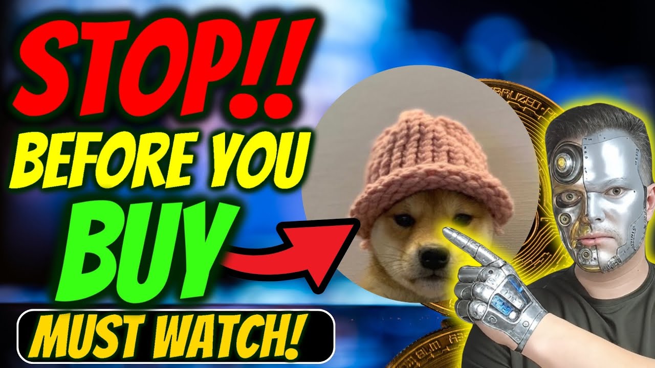 🚀 DOGWIFHAT Coin: Watch This BEFORE You Buy Dogwifhat... - YouTube