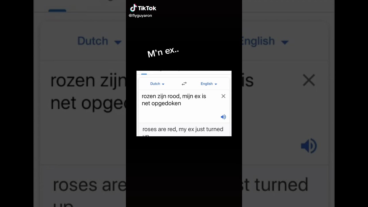 ROZEN ZIJN ROOD - Google translate meme 43 - YouTube