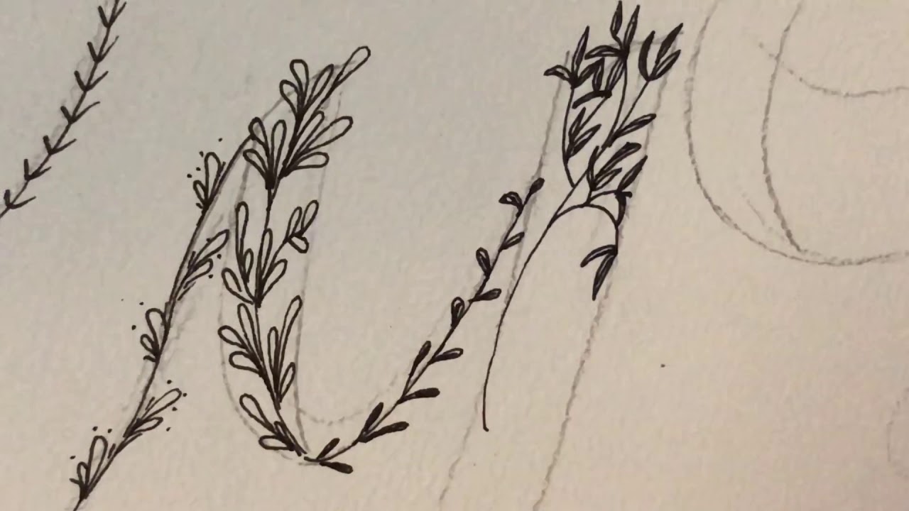 Calligraphy | Floral Design Series - YouTube