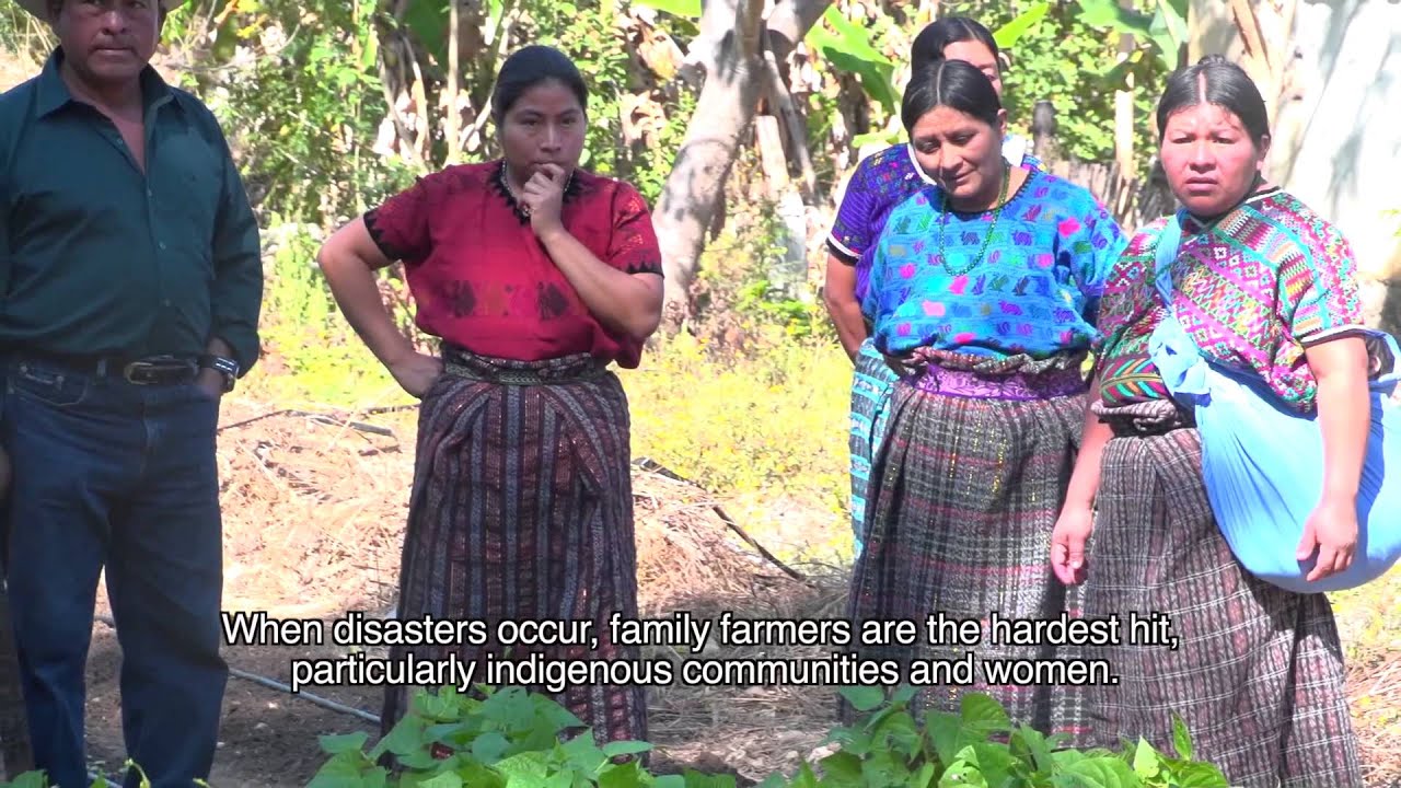 Community Contingency Funds : Saving as a means of resilience - YouTube