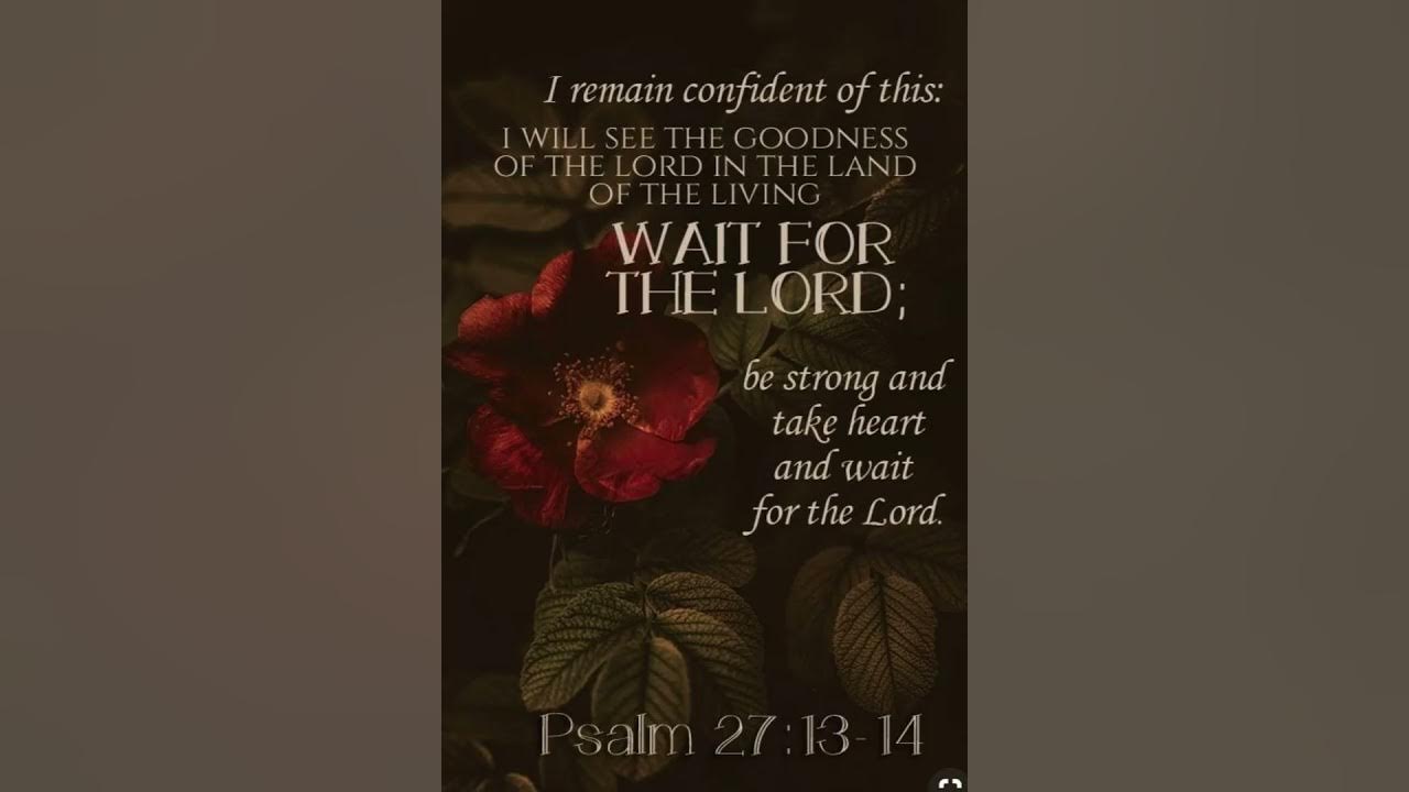 Good Morning Devotion / 23/05/2023 / (Psalm 27:13,14- Wait for the Lord to See Goodness) - YouTube