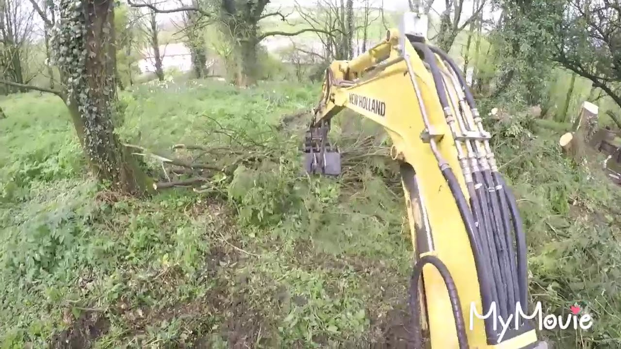 Tree felling /timber grab - YouTube