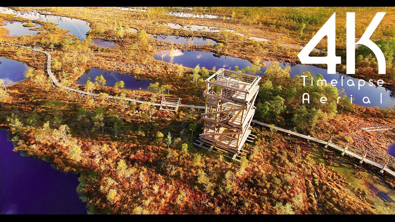 4K UHD Kemeri National Park Boardwalk in the Grand Bog Timelapse/Aerial ...