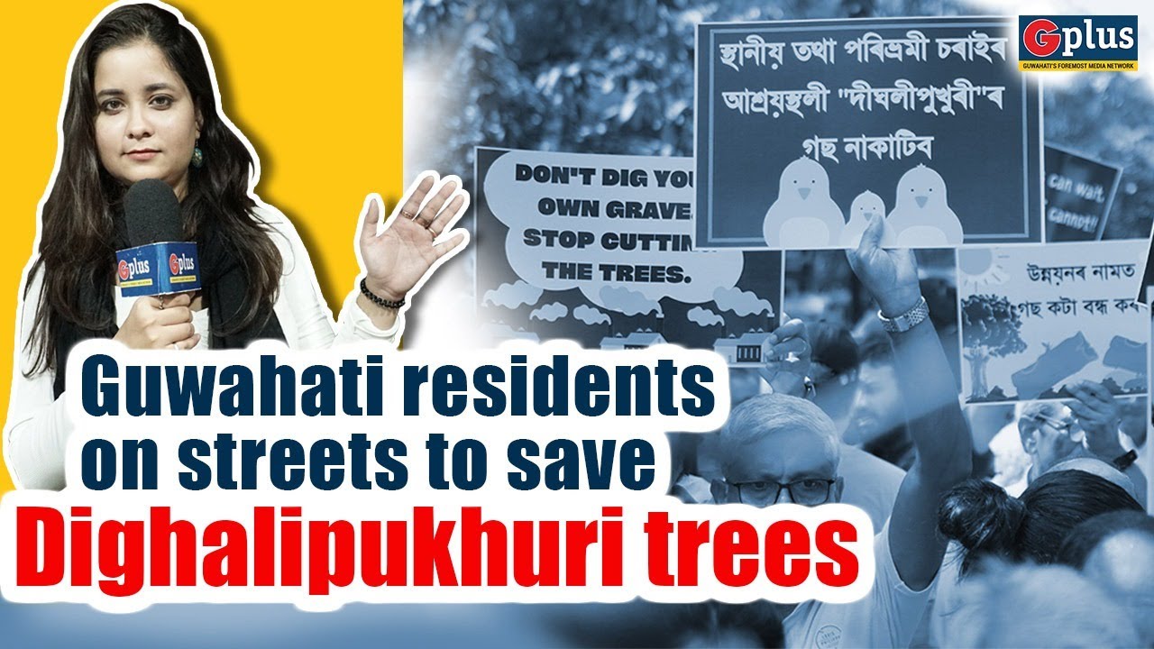 Guwahati Takes A Stand: Protest Against Tree Cutting For Dighalipukhuri ...