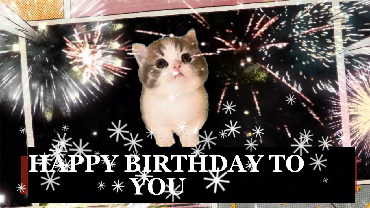 HAPPY BIRTHDAY TO YOU ( Gatito Emanuel ) - YouTube