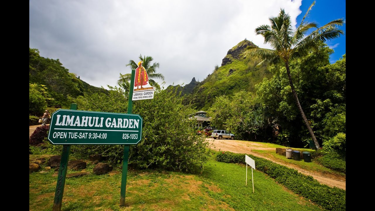 Walking through Limahuli Gardens in Kauai!!! - YouTube
