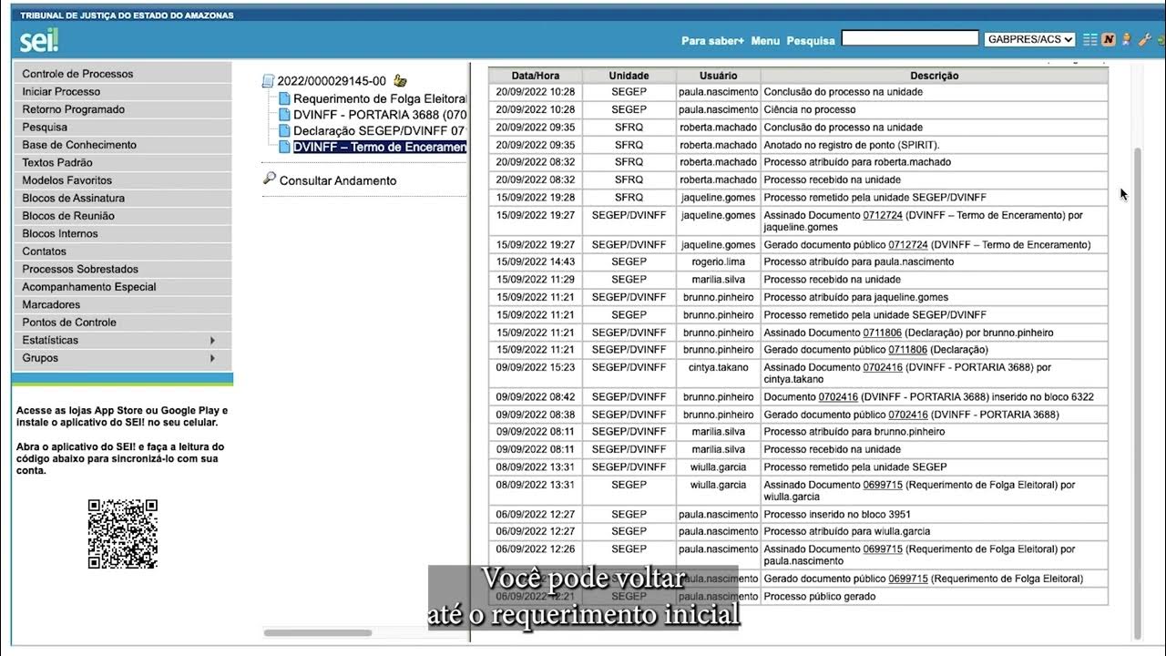 SEI - Como acompanhar seu processo - YouTube