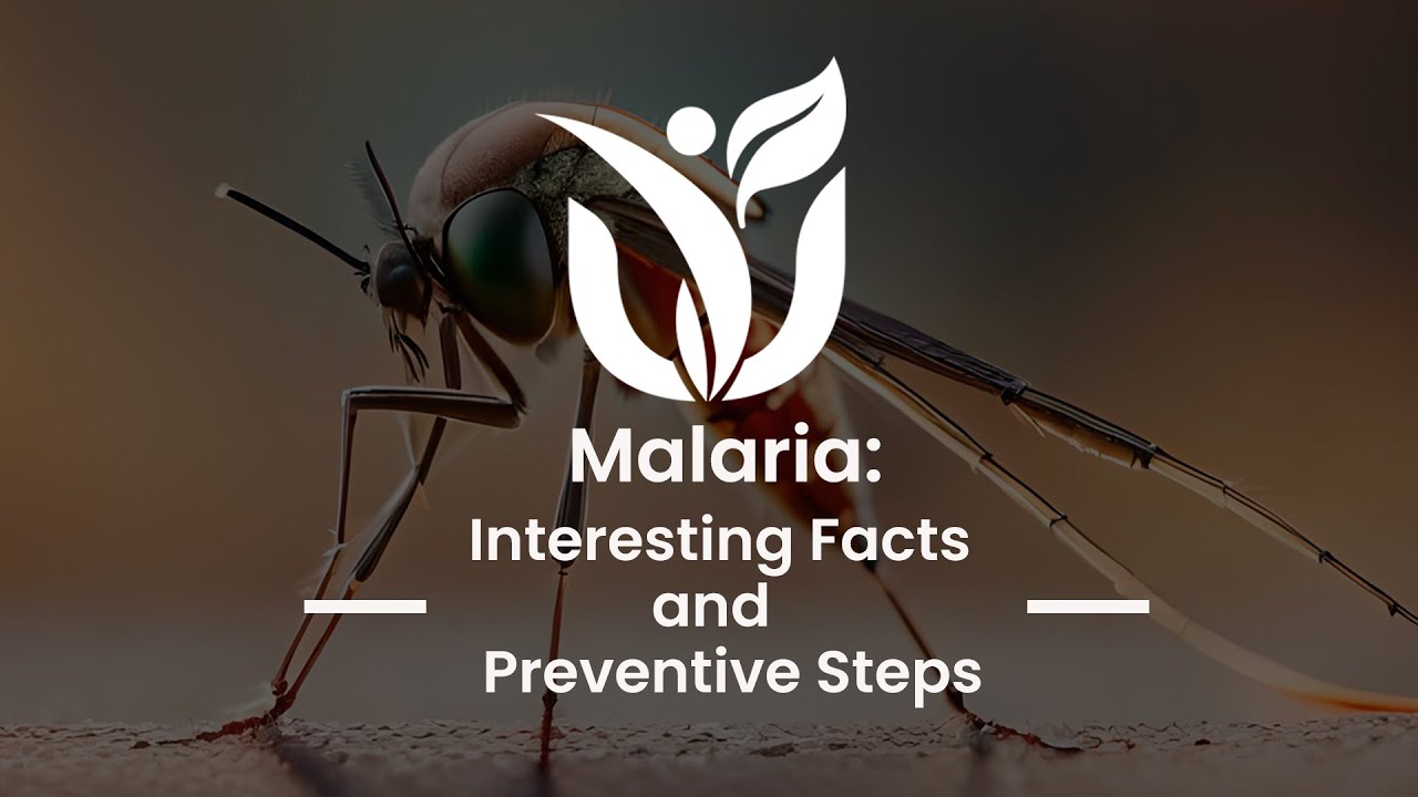 Malaria: Interesting Facts and Preventive Steps - YouTube