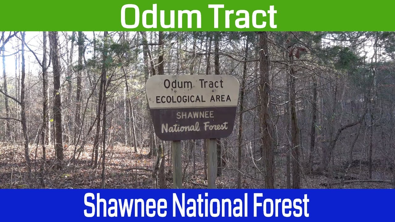 Chasing Waterfalls at Odum Tract EA in the Shawnee National Forest ...